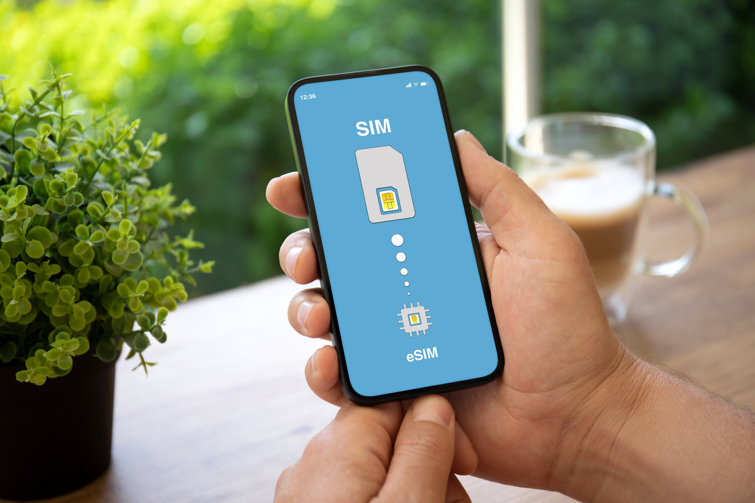 eSIM or SIM card | LebConnected | Lebara